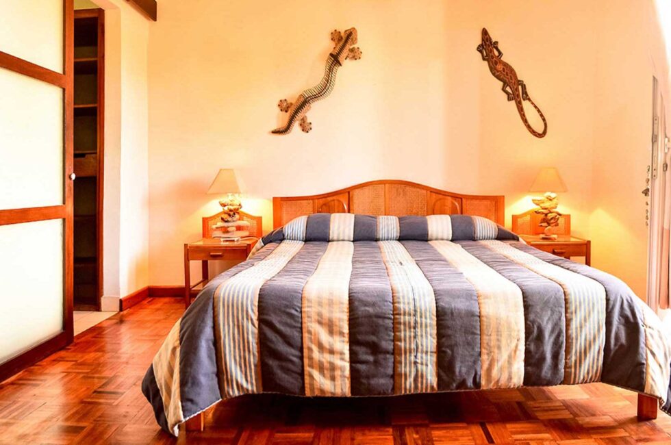 The Mikea of Madagascar, malagasy's last indigenous peoples