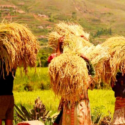 Les sites touristiques du BOENY – MAROVOAY | Coco lodge Madagascar